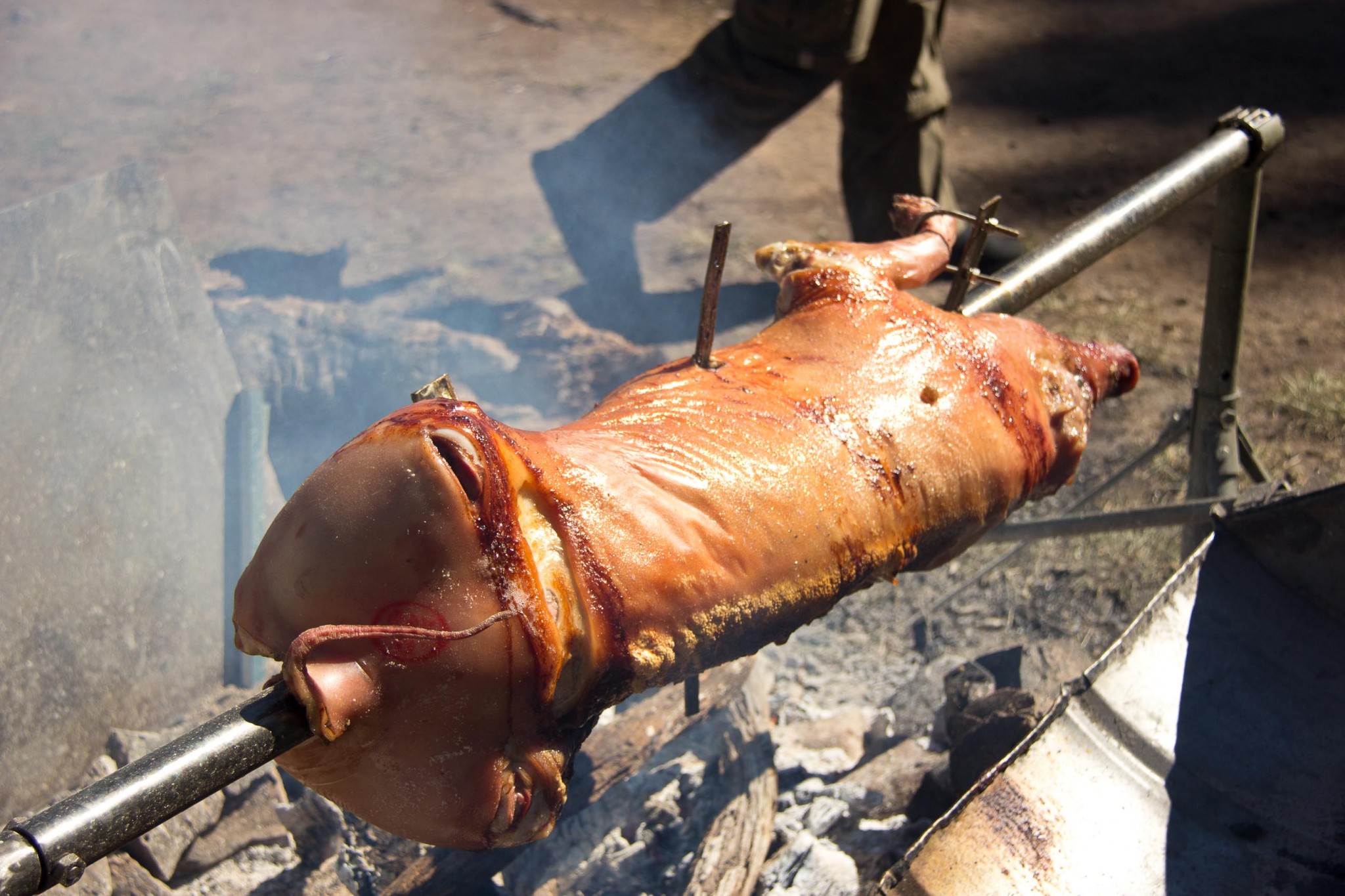 Spit Roast Pig – Brass Monkey 2012 – Carazy Suburban Permaculture ...