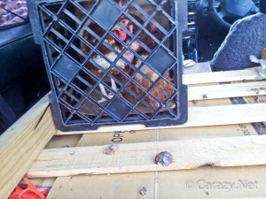 Chicken.Transport.Container.Modules.Milk.Crates-20150605_155431 ...